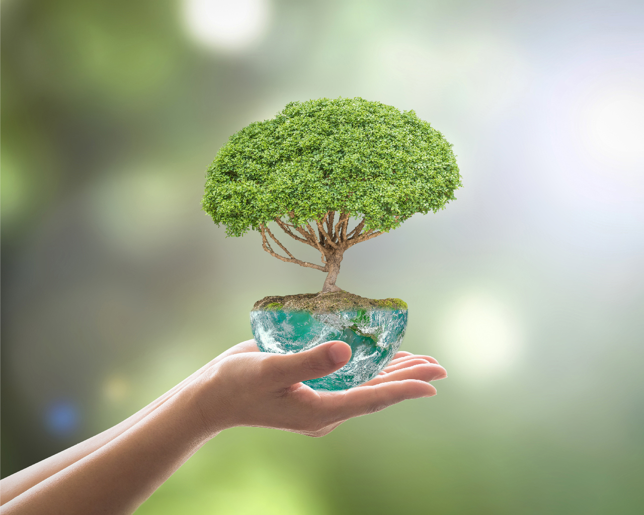 melhor-sustentabilidade-ambiental-social-e-economica – SMAS- Sintra ...